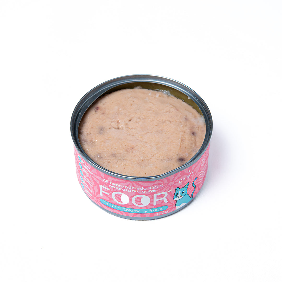 La guatita de tu mascota, mejor con Foor. – Foor Store