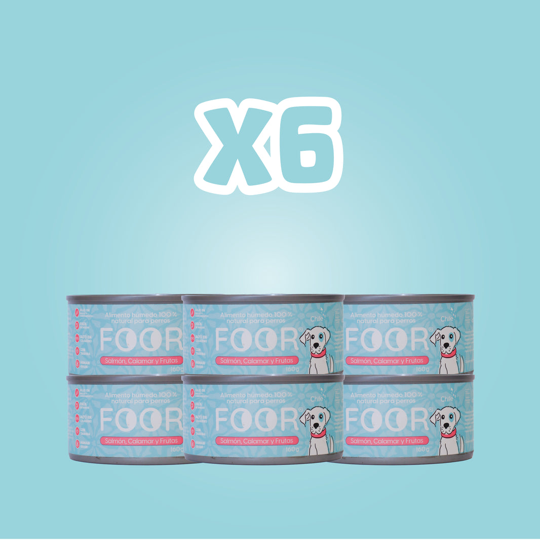 La guatita de tu mascota, mejor con Foor. – Foor Store