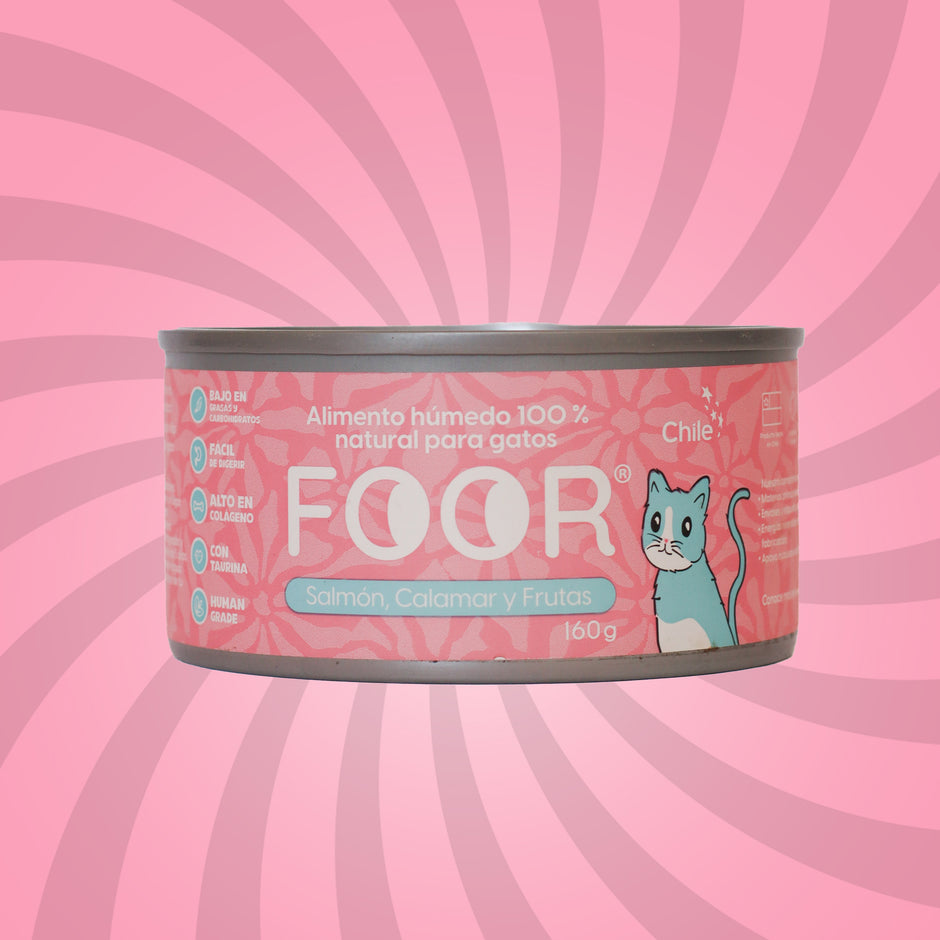 Productos – Foor Store